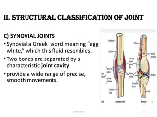 Articular system.pdf