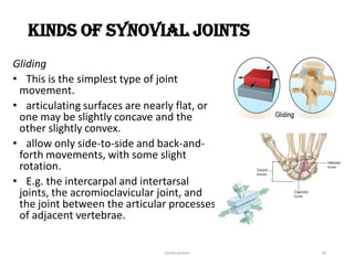Articular system.pdf