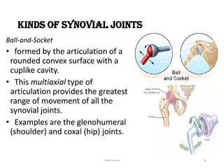 Articular system.pdf