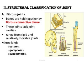 Articular system.pdf