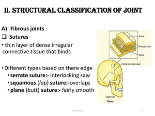 Articular system.pdf