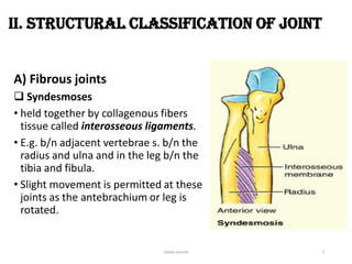 Articular system.pdf