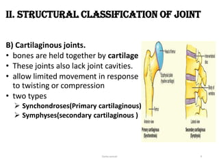 Articular system.pdf