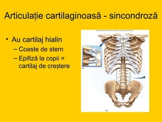 Articulatii medicina asistent generalist | PPT