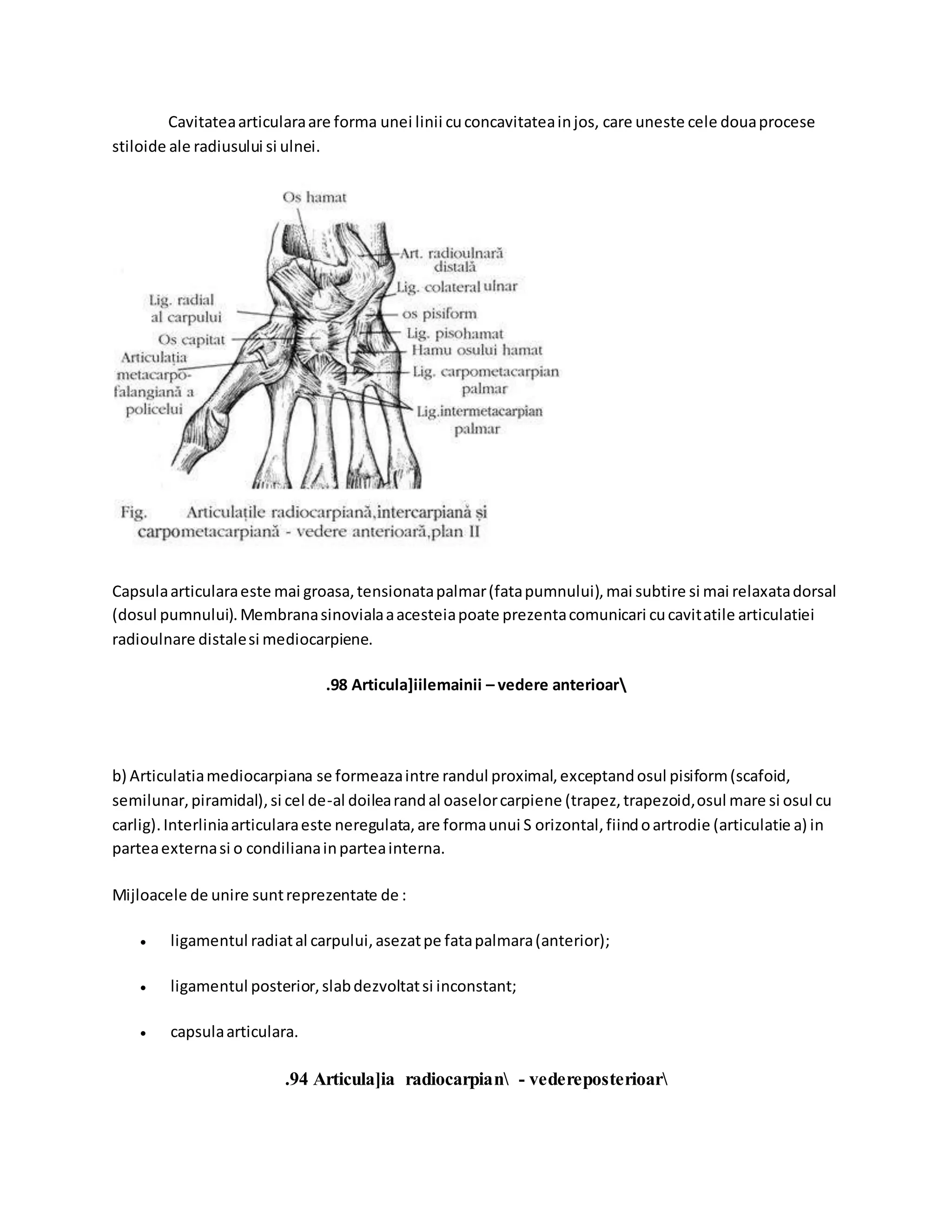 Articulatiile membrului superior | DOCX