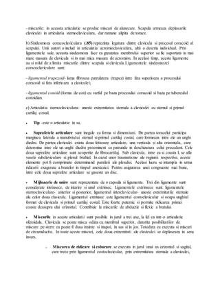 Articulatiile membrului superior | DOCX