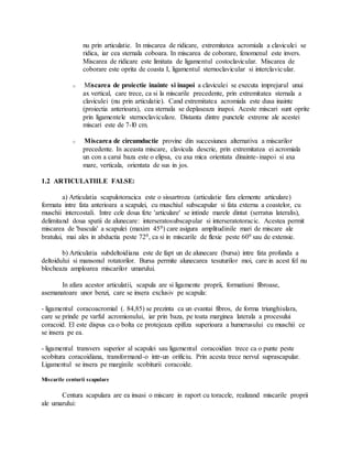 Articulatiile membrului superior | DOCX