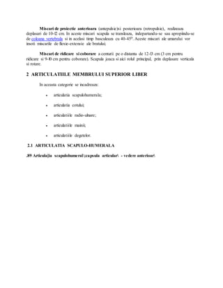 Articulatiile membrului superior | DOCX