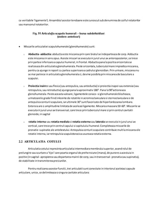 Articulatiile membrului superior | DOCX