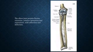 Articulatio cubiti/Elbow joint | PPTX | Death, Injury, or Military ...