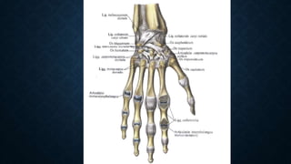 Articulatio cubiti/Elbow joint | PPTX