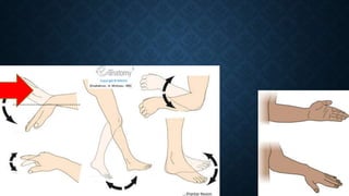 Articulatio cubiti/Elbow joint | PPTX | Death, Injury, or Military ...