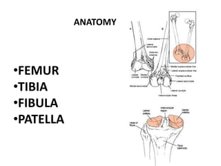 Knee Joint | PPTX
