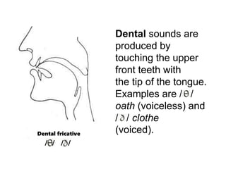 Articulation | PPTX