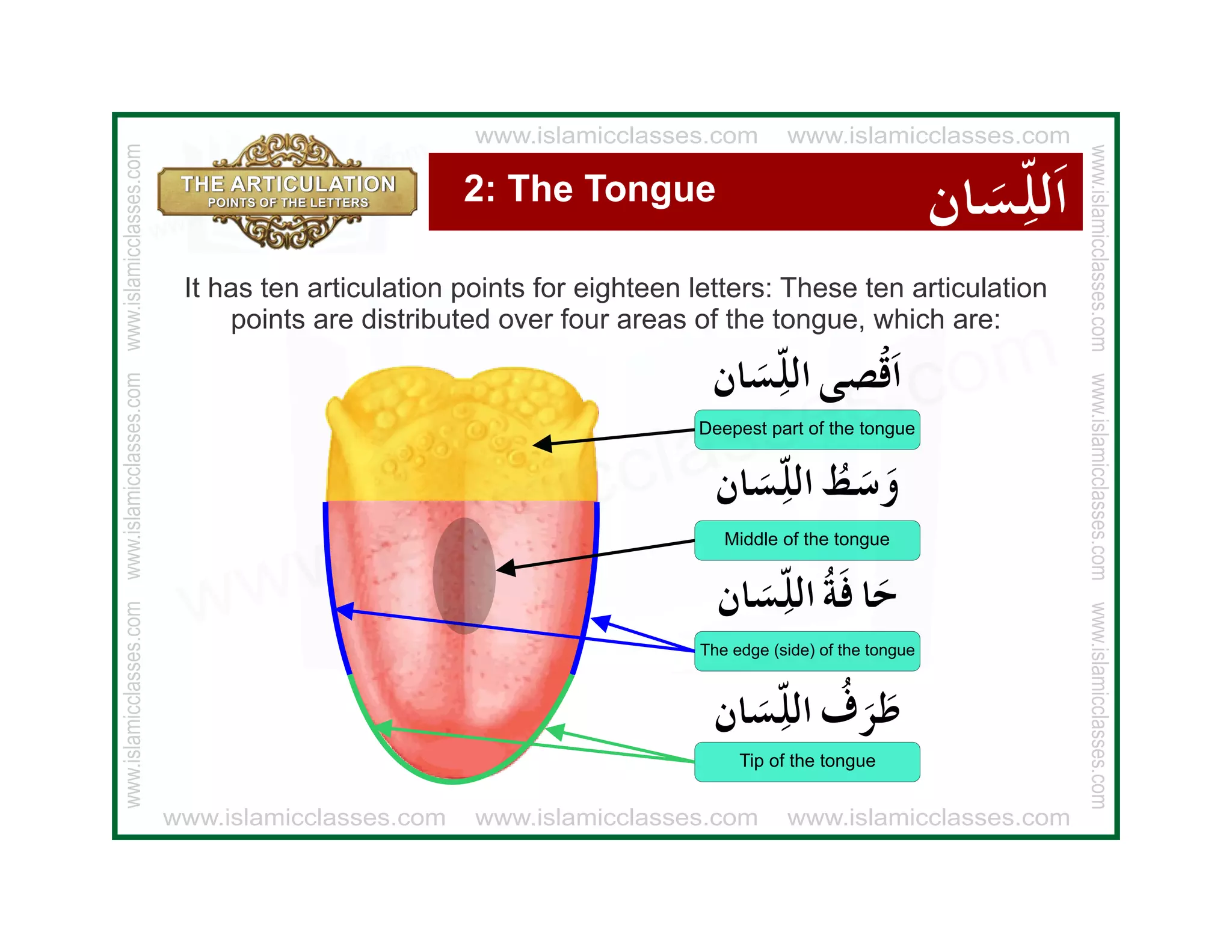 Articulation Points of Arabic Alphabet Letters, Makharij ul Huruf | PDF