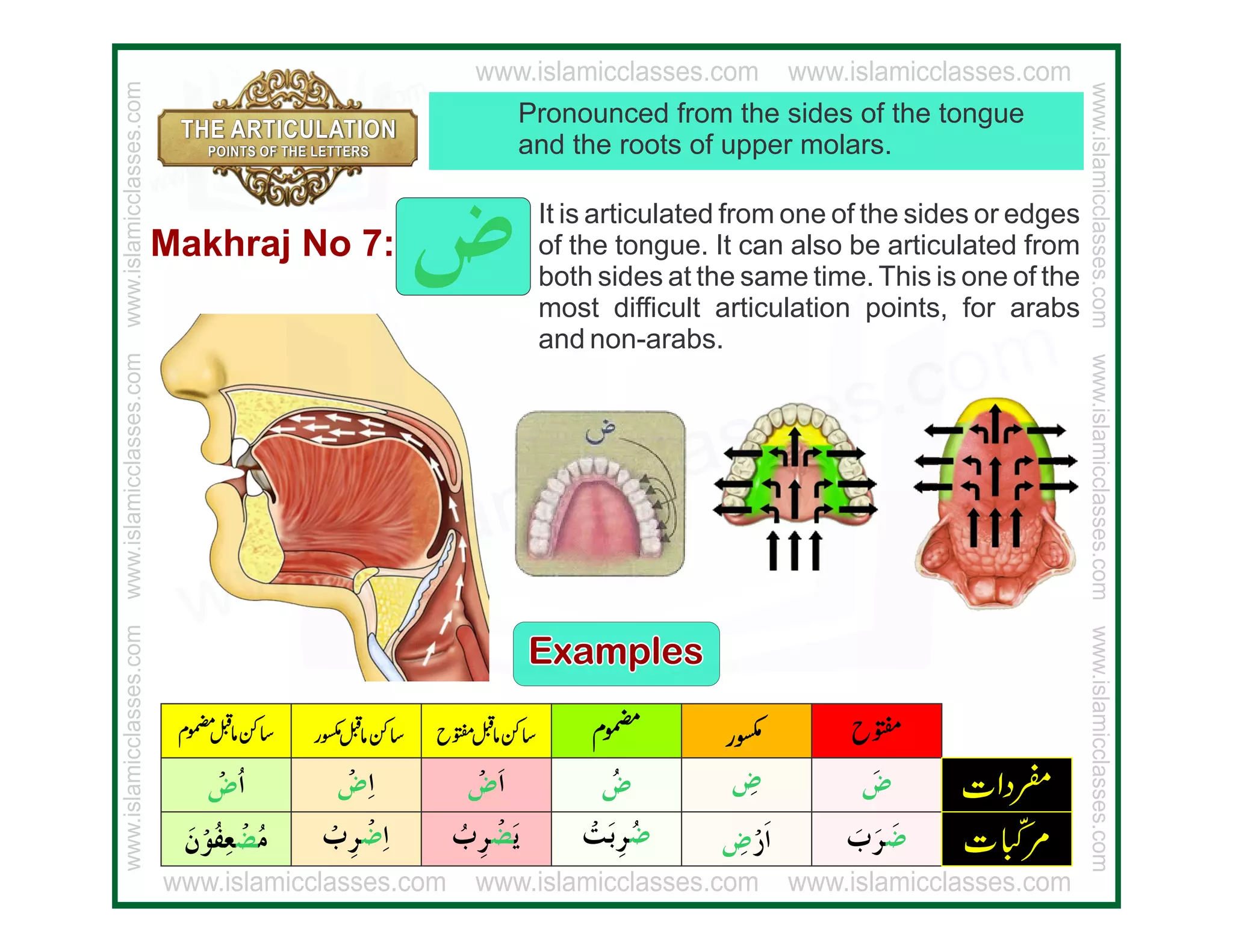 Articulation Points of Arabic Alphabet Letters, Makharij ul Huruf | PDF
