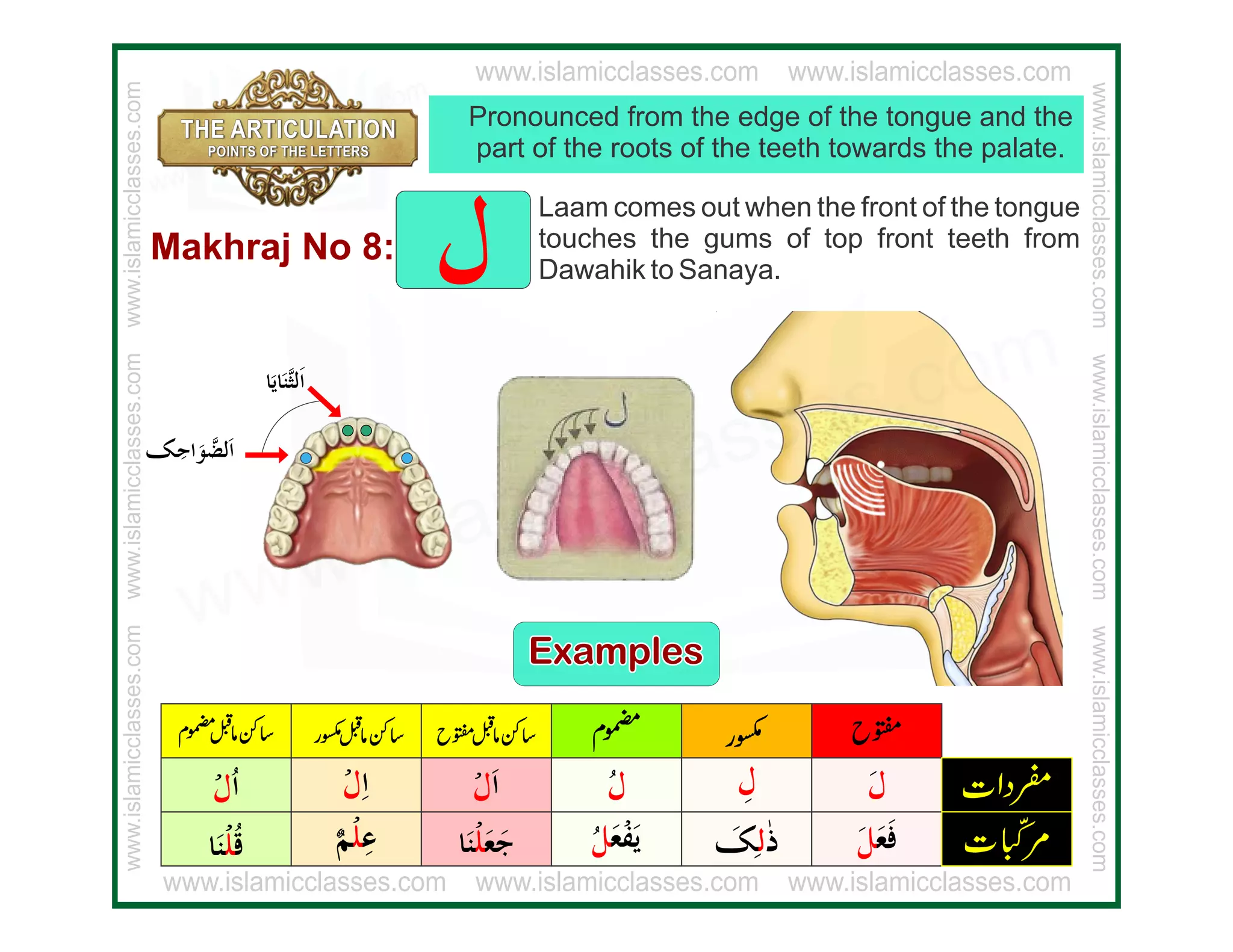 Articulation Points of Arabic Alphabet Letters, Makharij ul Huruf | PDF