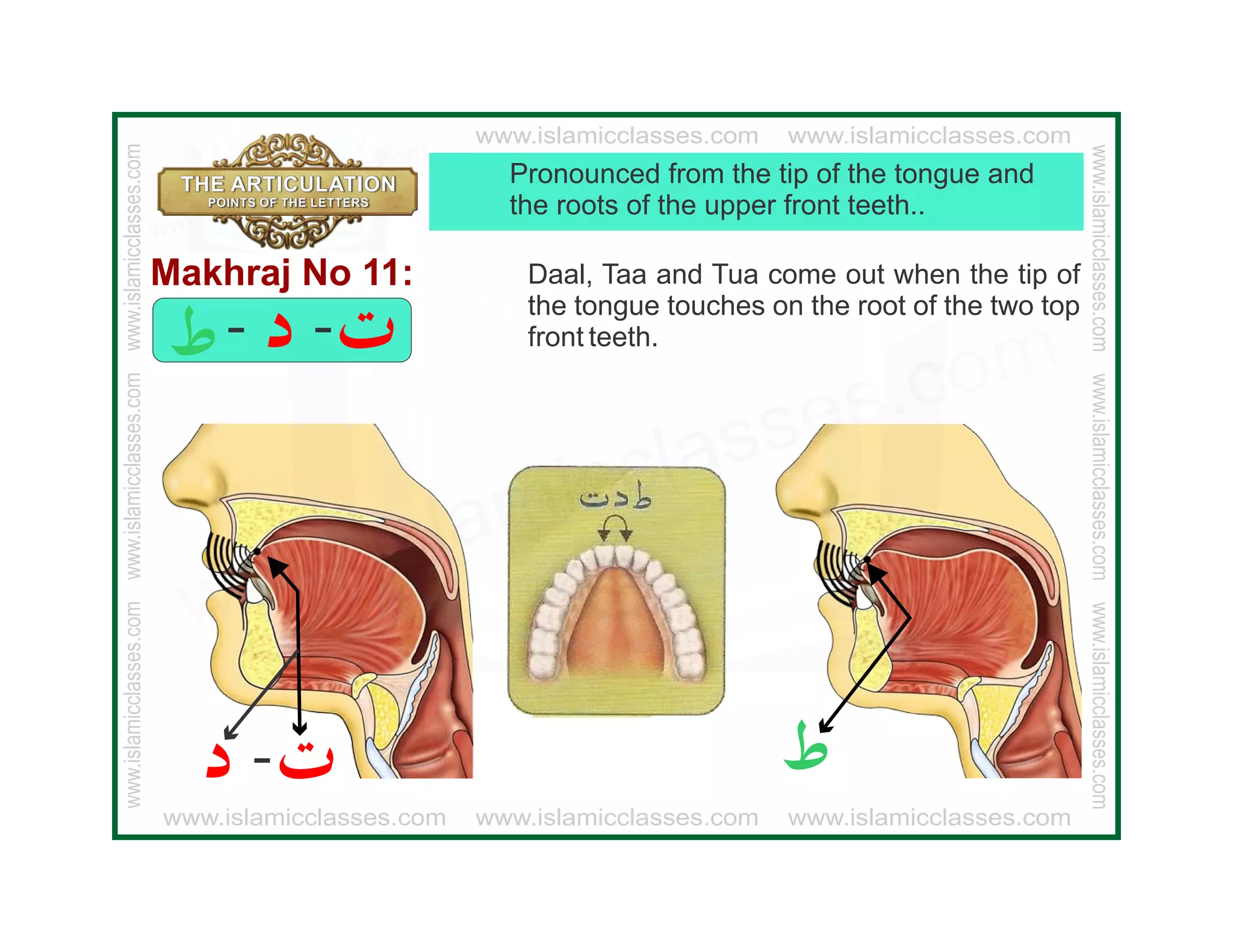 Articulation Points of Arabic Alphabet Letters, Makharij ul Huruf | PDF