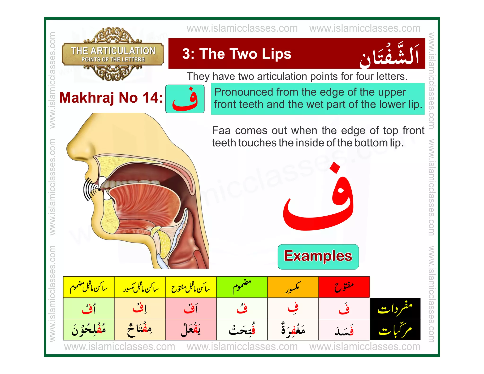Articulation Points of Arabic Alphabet Letters, Makharij ul Huruf | PDF