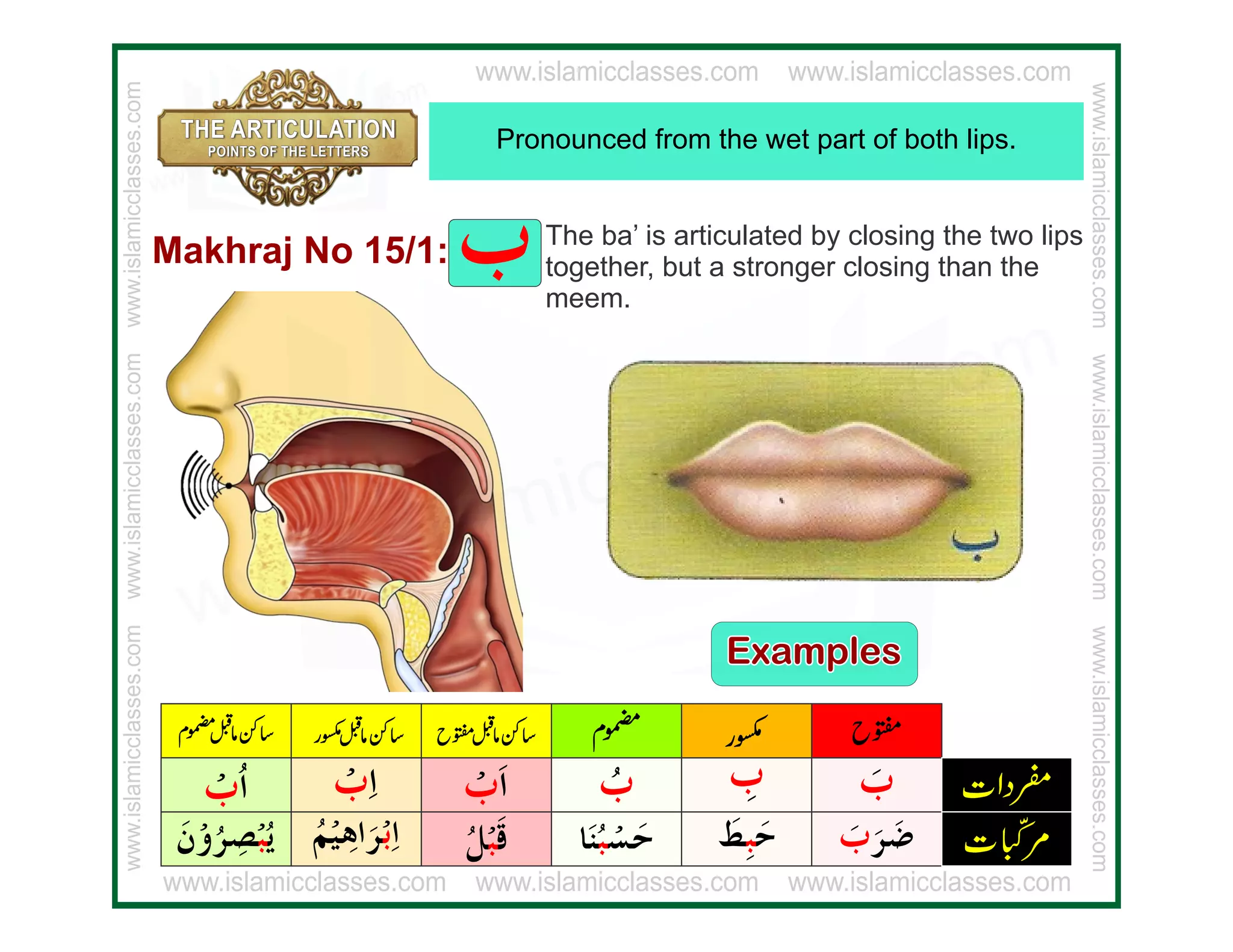 Articulation Points of Arabic Alphabet Letters, Makharij ul Huruf | PDF