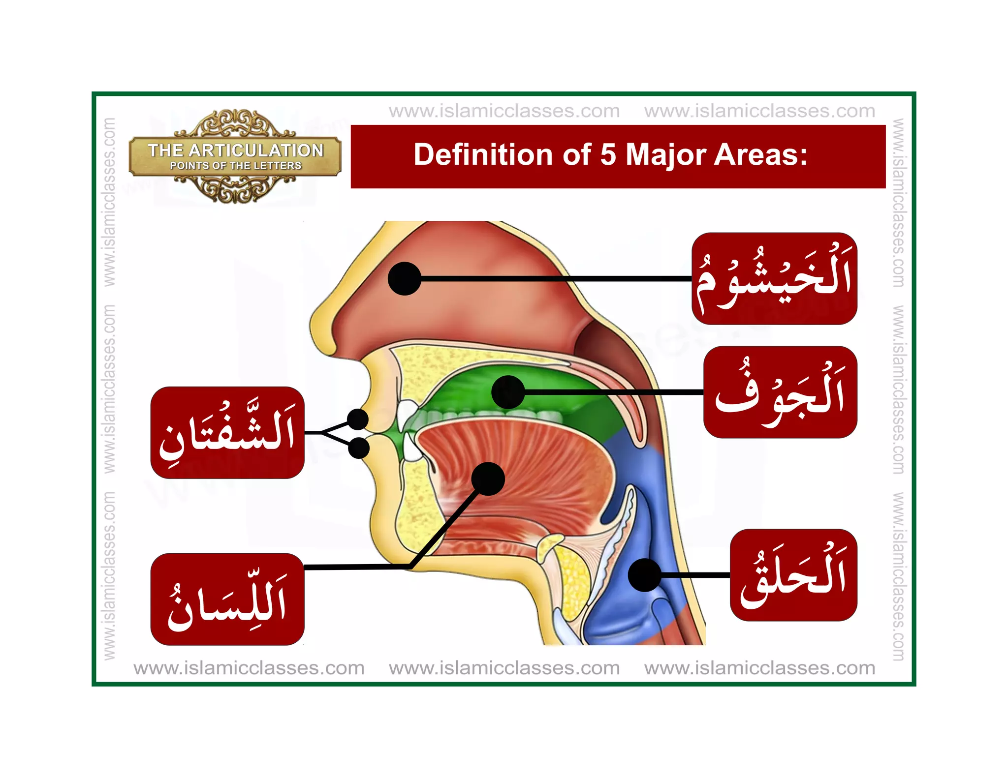 Articulation Points of Arabic Alphabet Letters, Makharij ul Huruf | PDF