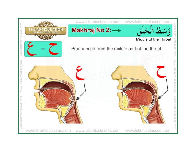 Articulation Points of Arabic Alphabet Letters, Makharij ul Huruf | PDF