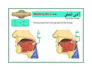 Articulation Points of Arabic Alphabet Letters, Makharij ul Huruf | PDF