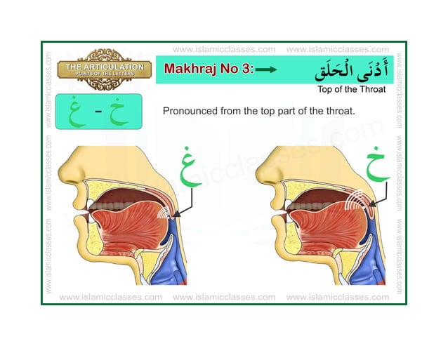 Articulation Points of Arabic Alphabet Letters, Makharij ul Huruf | PDF