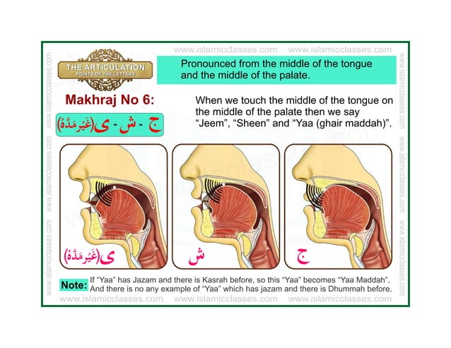 Articulation Points of Arabic Alphabet Letters, Makharij ul Huruf | PPT