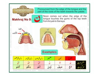 Articulation Points of Arabic Alphabet Letters, Makharij ul Huruf | PDF