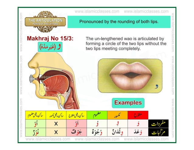 Articulation Points of Arabic Alphabet Letters, Makharij ul Huruf | PDF