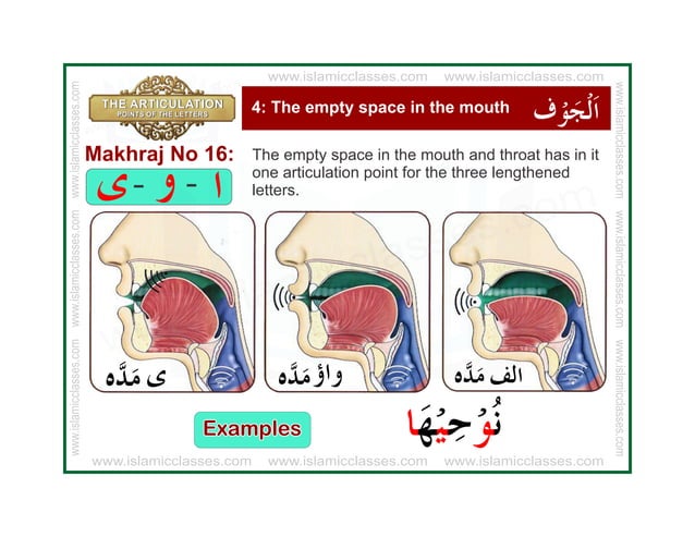 Articulation Points of Arabic Alphabet Letters, Makharij ul Huruf | PDF
