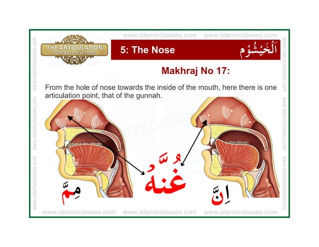 Articulation Points of Arabic Alphabet Letters, Makharij ul Huruf | PPT