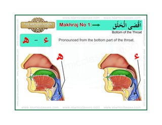Articulation Points of Arabic Alphabet Letters, Makharij ul Huruf | PDF