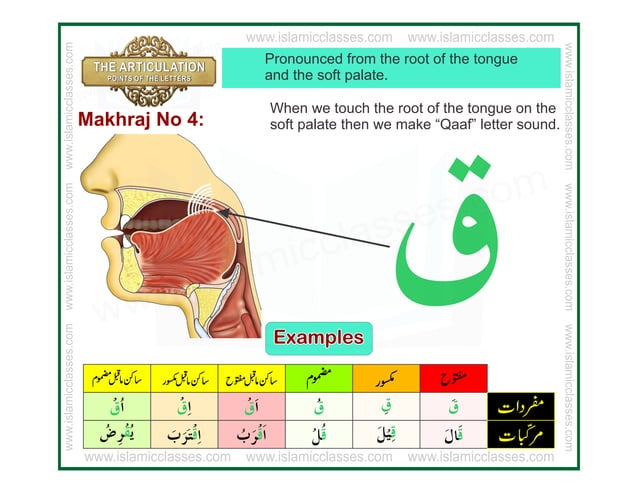 Articulation Points of Arabic Alphabet Letters, Makharij ul Huruf