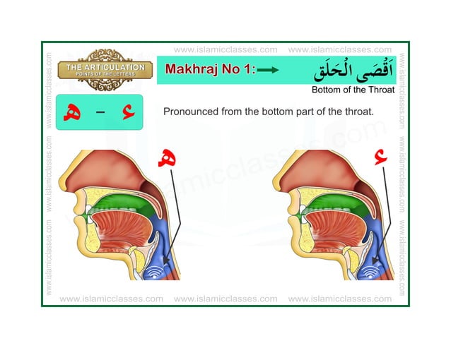 Articulation Points of Arabic Alphabet Letters, Makharij ul Huruf