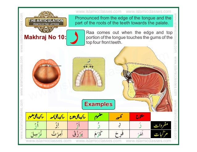 Articulation Points of Arabic Alphabet Letters, Makharij ul Huruf
