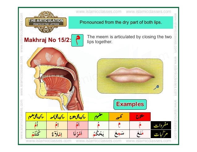 Articulation Points of Arabic Alphabet Letters, Makharij ul Huruf