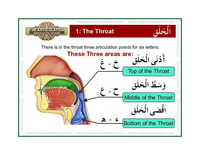 Articulation Points of Arabic Alphabet Letters, Makharij ul Huruf