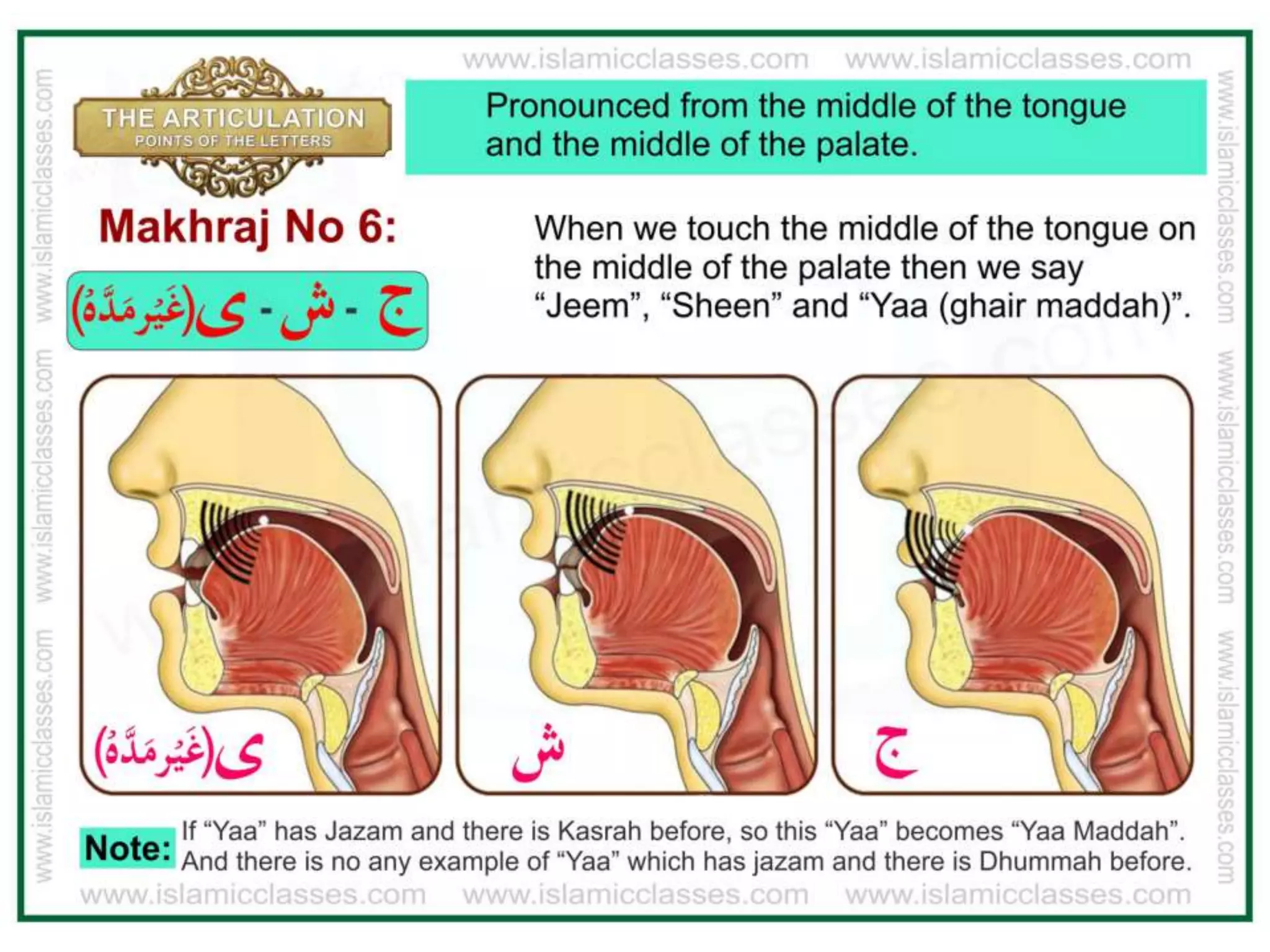 Articulation points-of-the-letters- makhraj | PDF