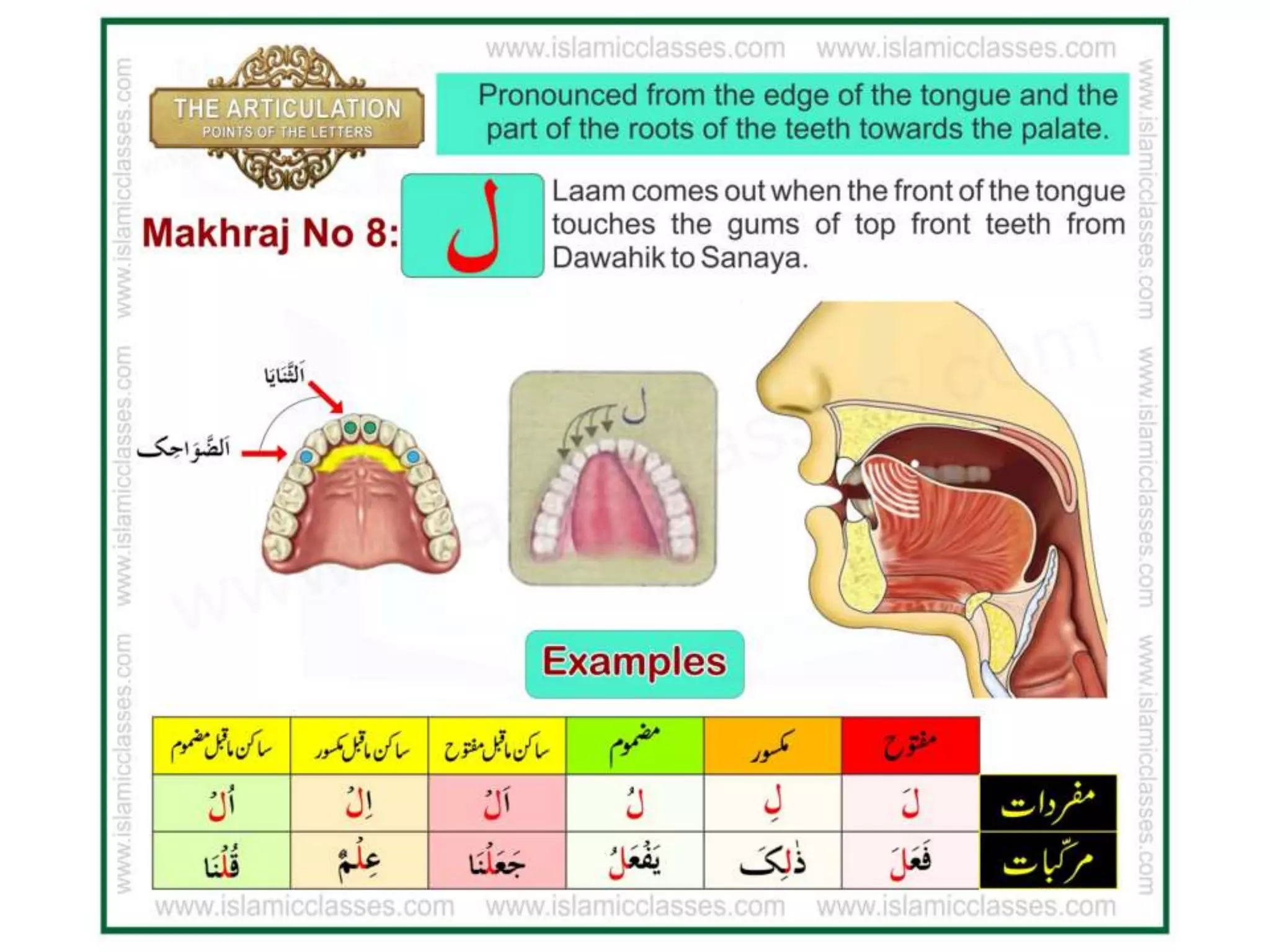 Articulation points-of-the-letters- makhraj | PDF