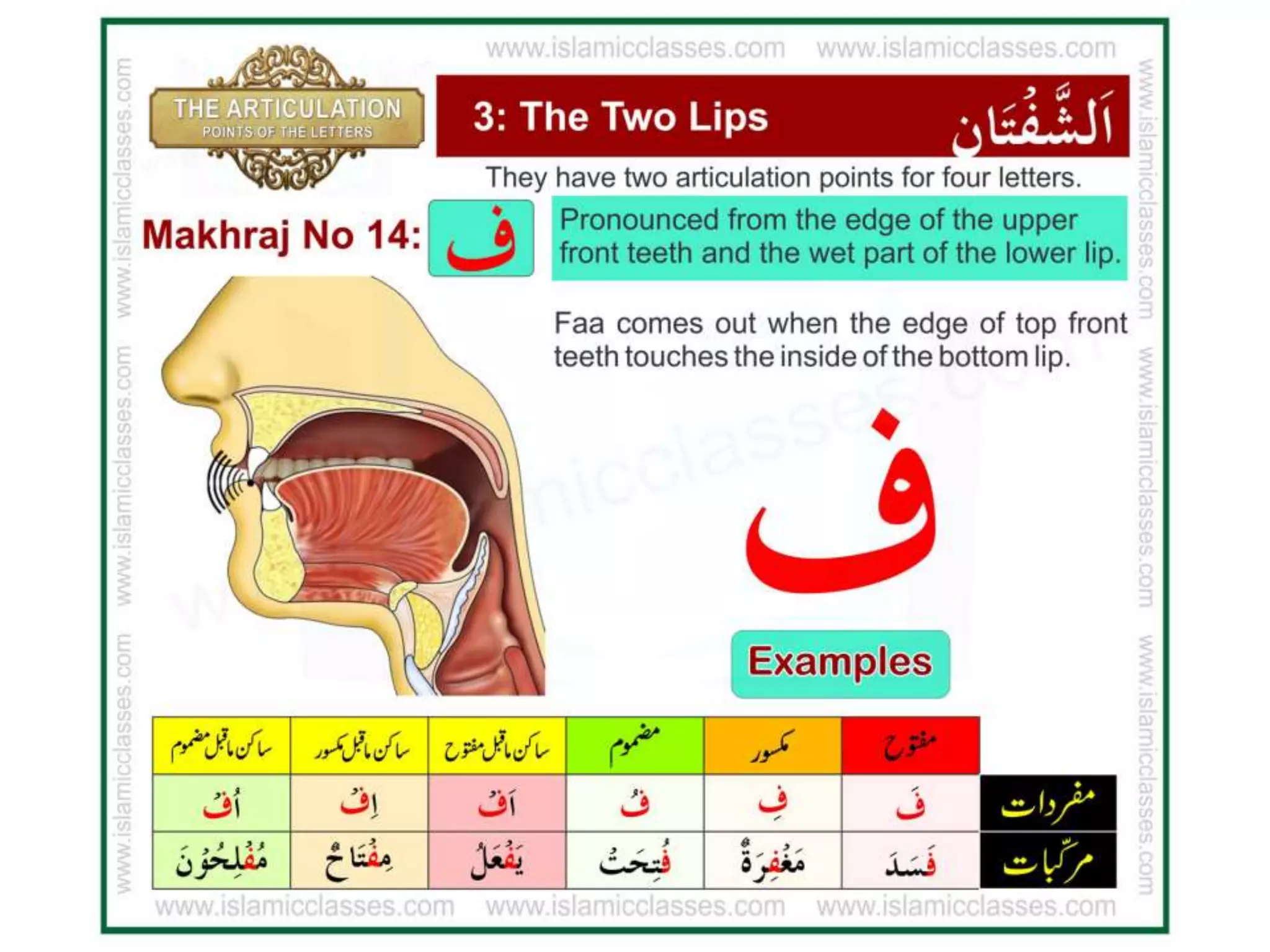 Articulation points-of-the-letters- makhraj | PDF