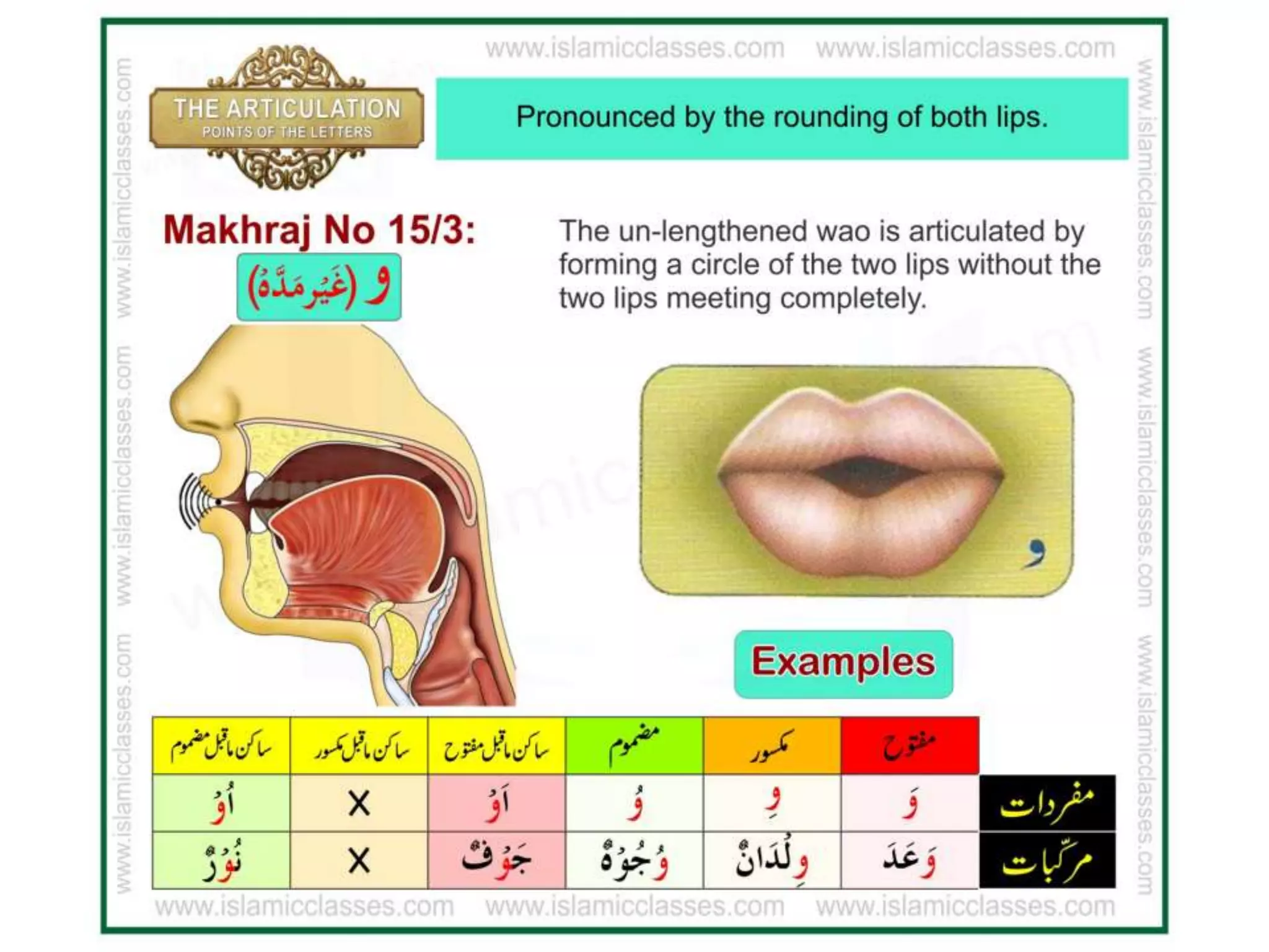 Articulation points-of-the-letters- makhraj | PDF