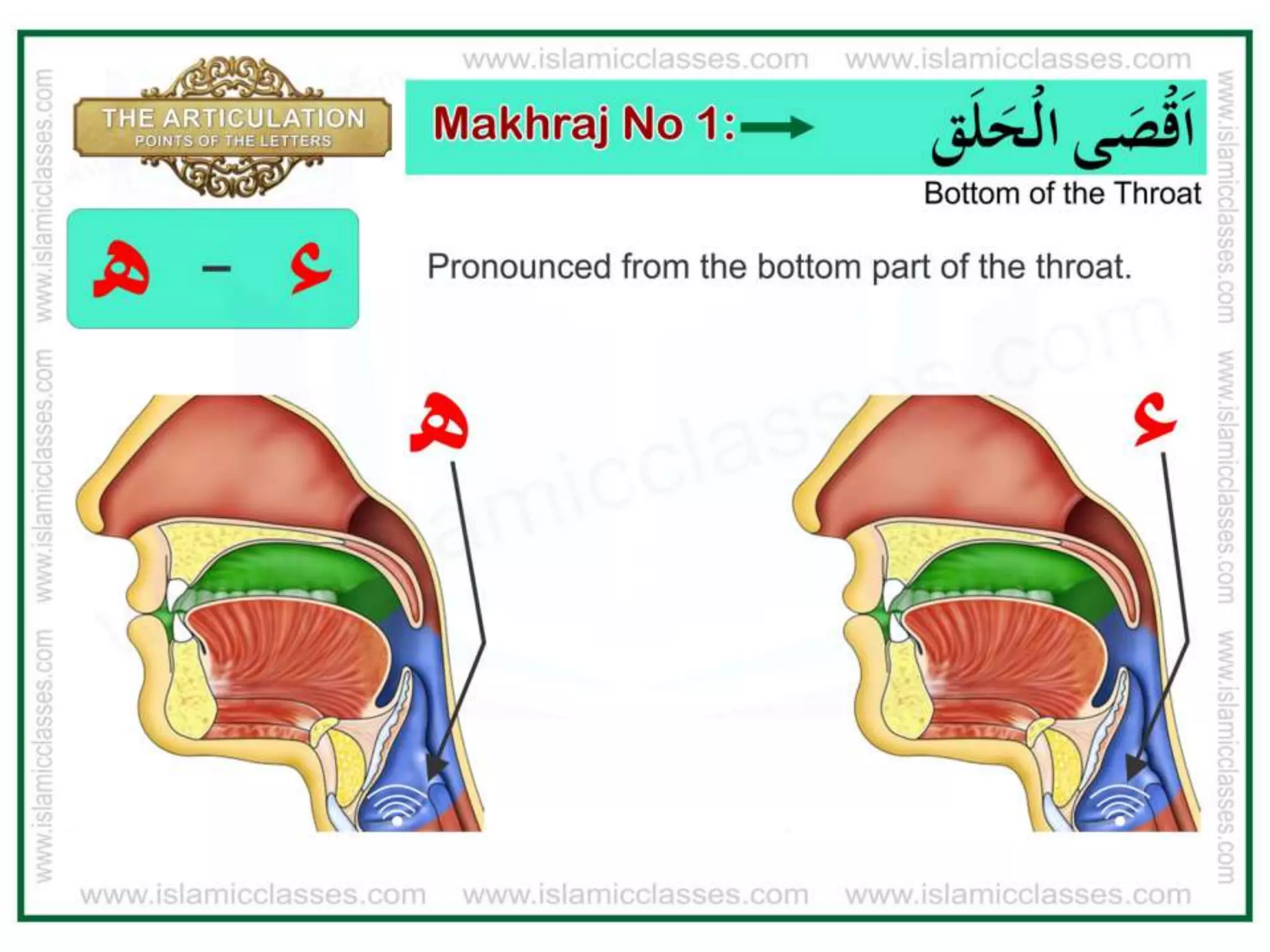 Articulation points-of-the-letters- makhraj | PDF