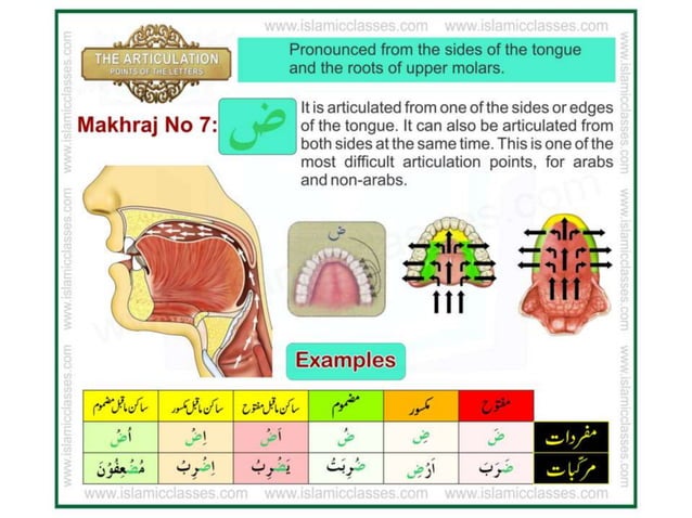 Articulation points-of-the-letters- makhraj | PDF