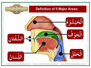 Articulation points-of-the-letters- makhraj | PDF