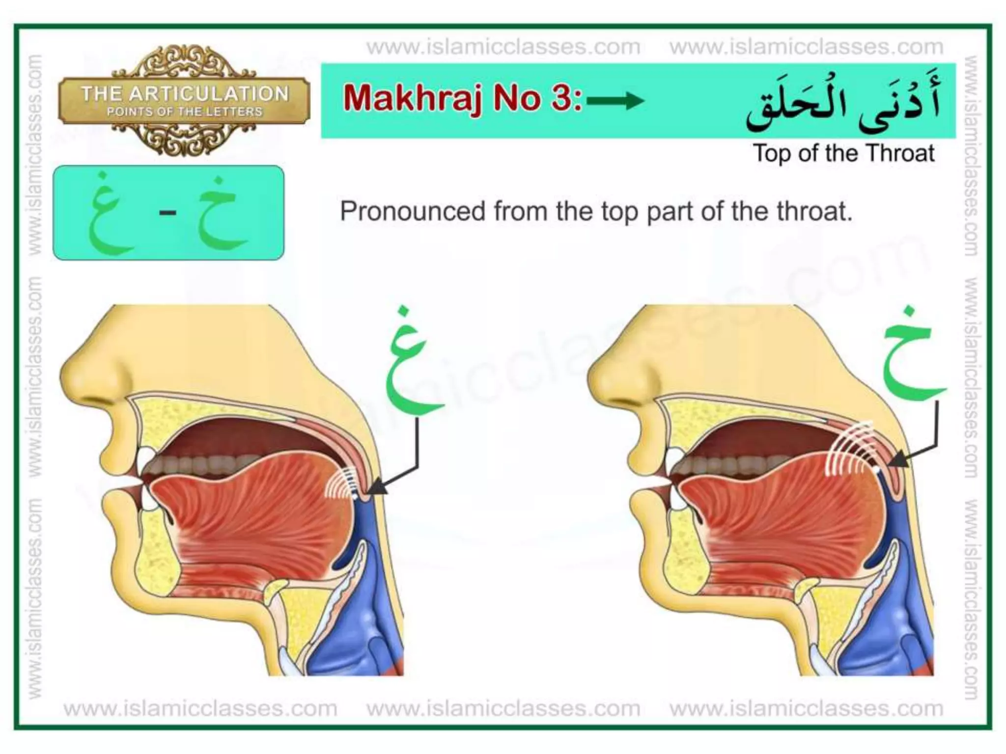 Articulation Points of The Letter - Tajweed Makharij al Huruf pdf | PPTX
