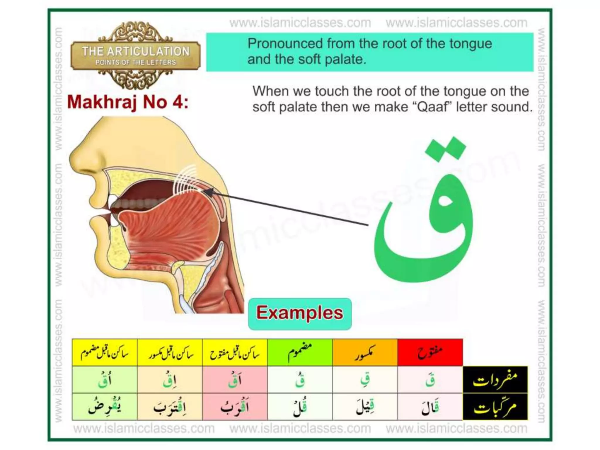 Articulation Points of The Letter - Tajweed Makharij al Huruf pdf | PPTX