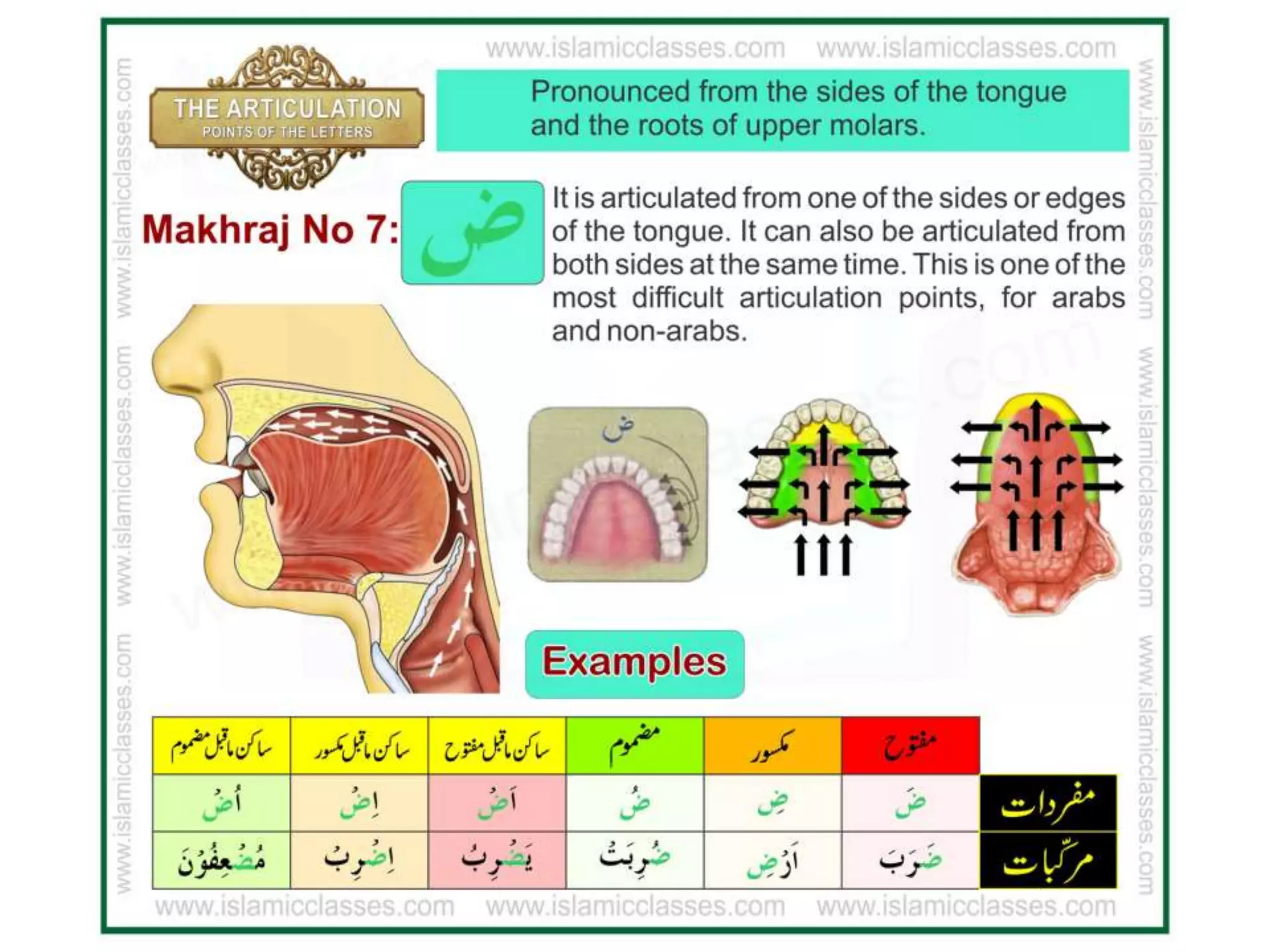 Articulation Points of The Letter - Tajweed Makharij al Huruf pdf | PPTX