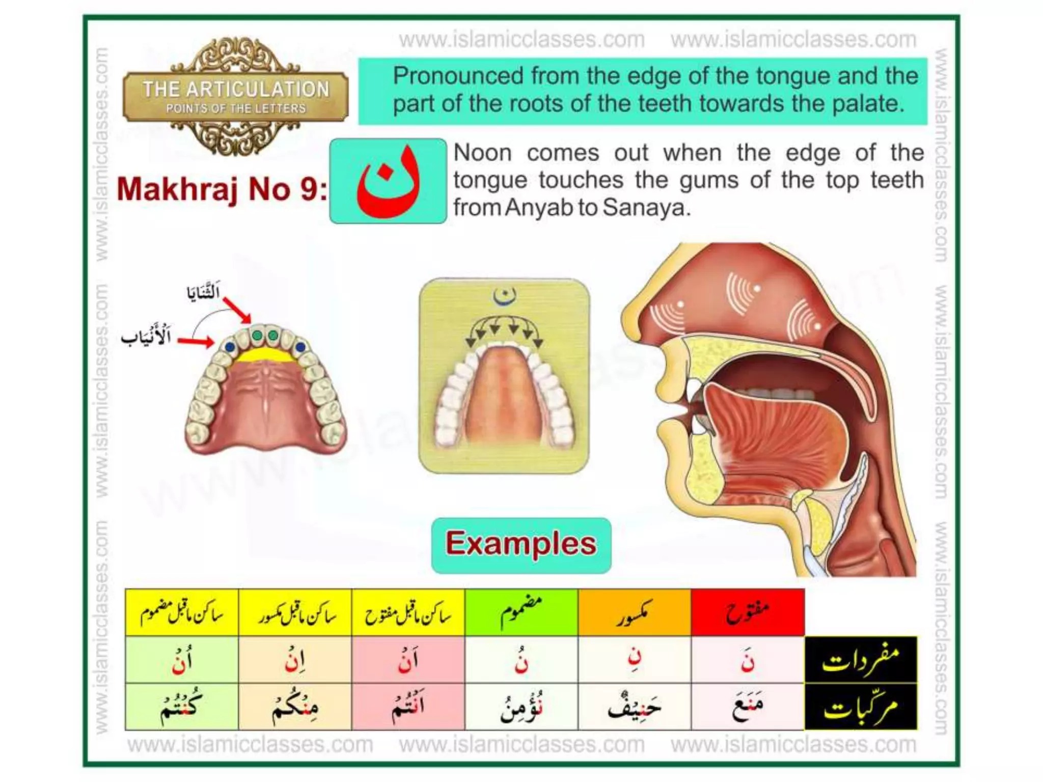 Articulation Points of The Letter - Tajweed Makharij al Huruf pdf | PPTX